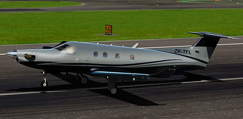 KiwiFlightSim - New Zealand (Carenado) | High Quality Flight Simulator ...