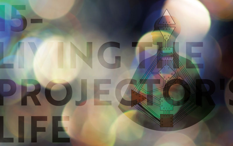 Type by Type: 15. Living the Projector's Life | Human Design Alok
