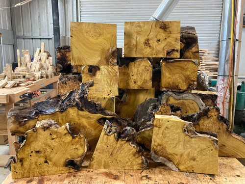 All Products | The Tree Trunk