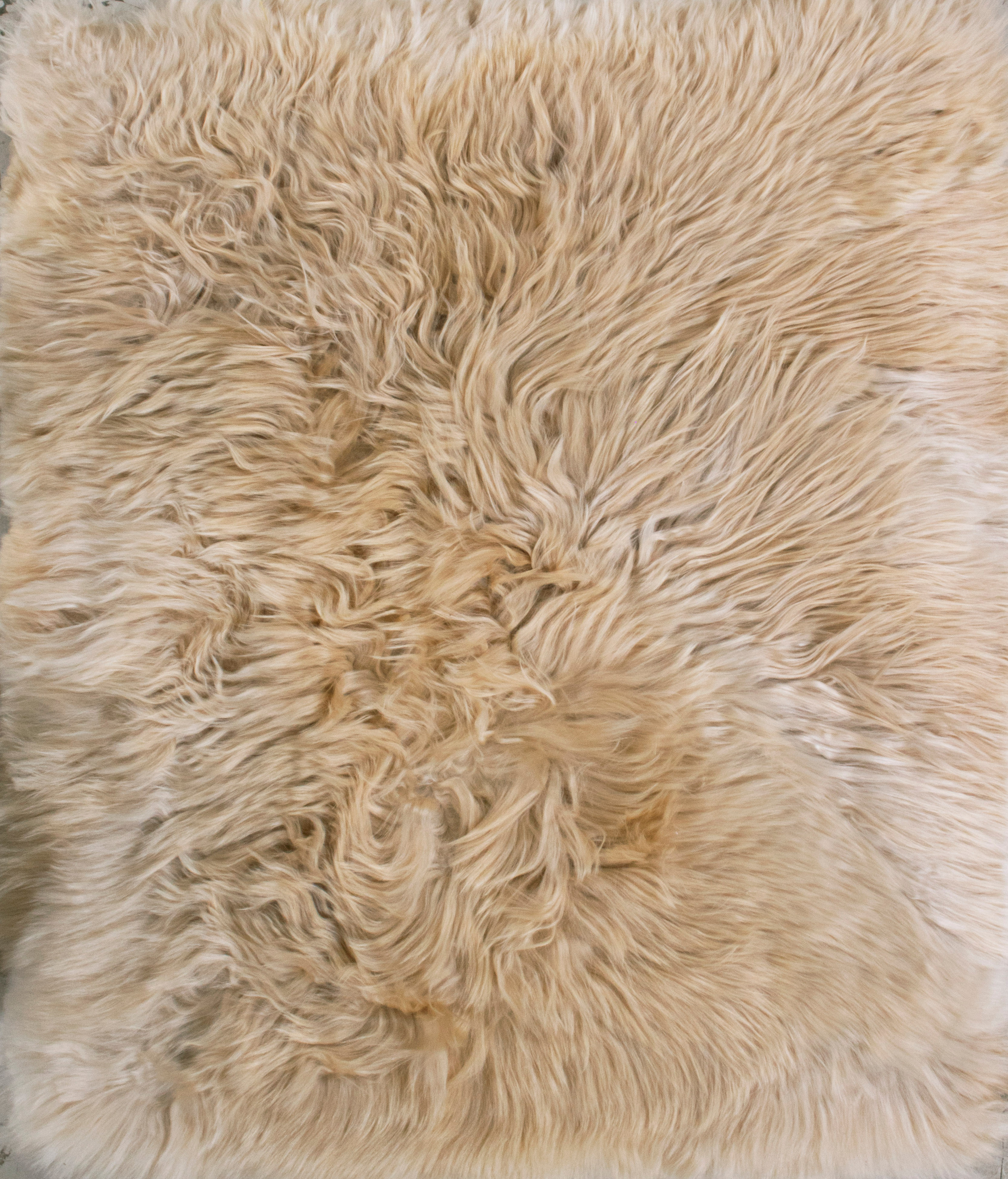 J.D. STARON | FUR COLLECTION