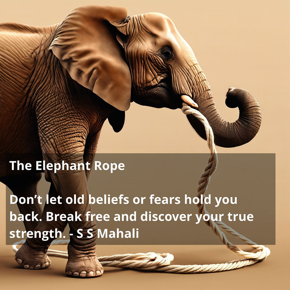 The Elephant Rope