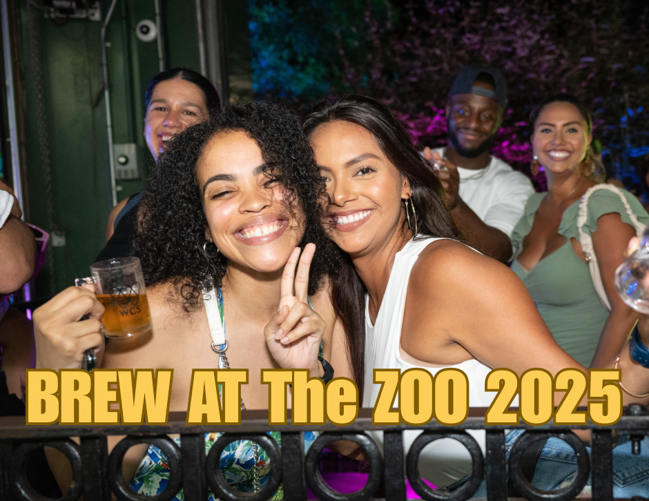 Brew At The Zoo Bronx Zoo
