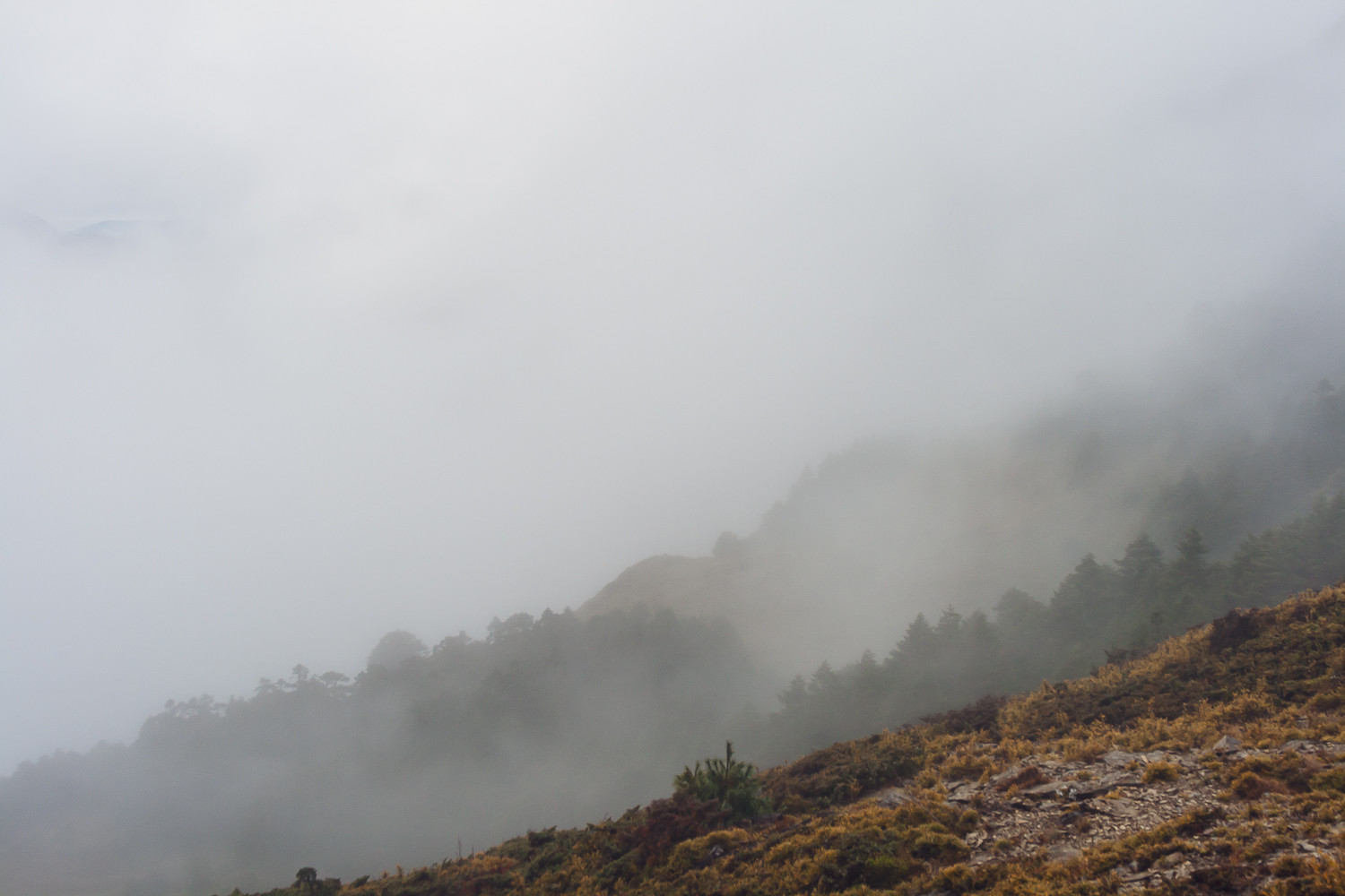 Mt. Hehuan North Peak | joefanghiking