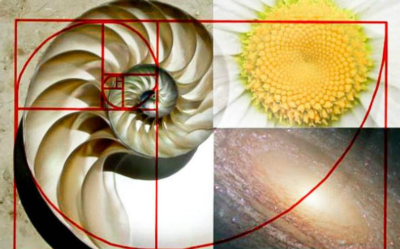 The Golden Ratio—A Sacred Number That Links the Past to the Present