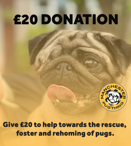 £20 Donation | Manchester Pug Thing