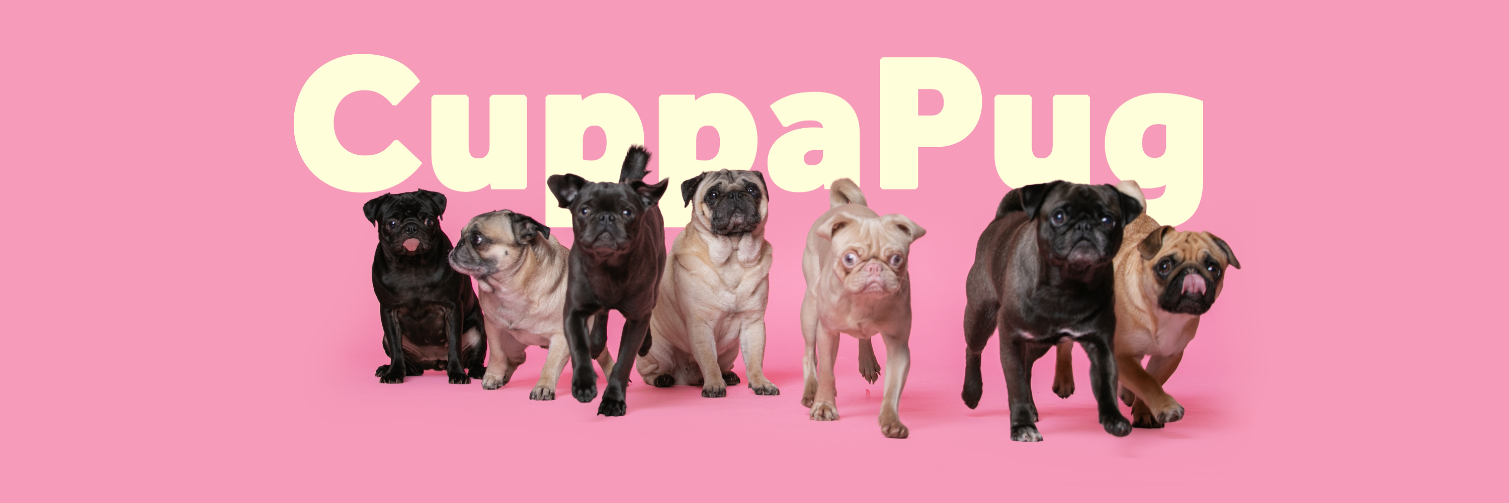 Book CuppaPug Manchester Tickets