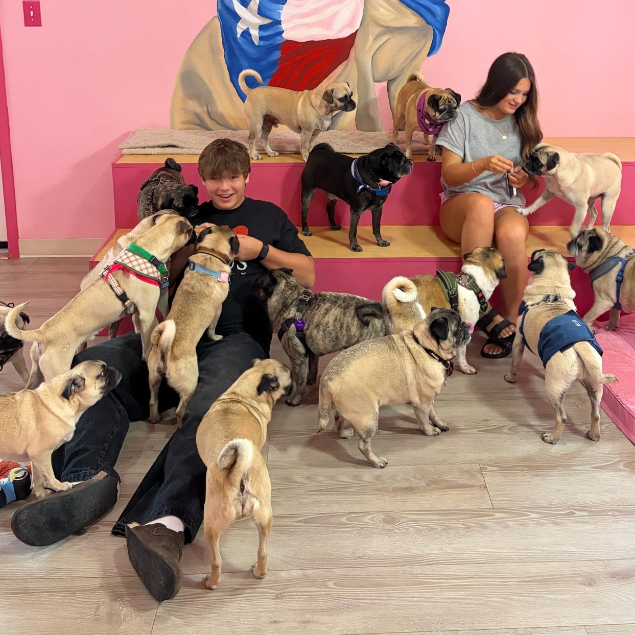 Book CuppaPug Texas Tickets