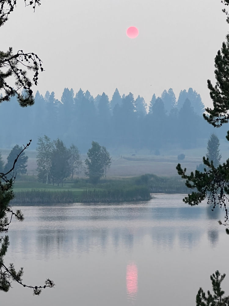 Fluorescent Pink Sunset