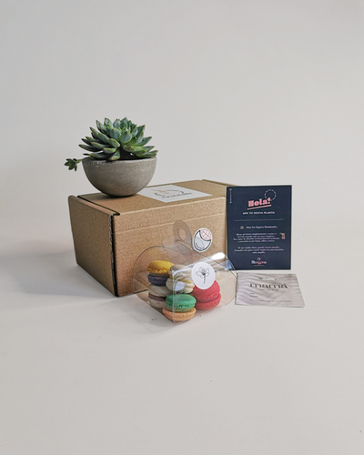 Kit Sahana | Simoona.co