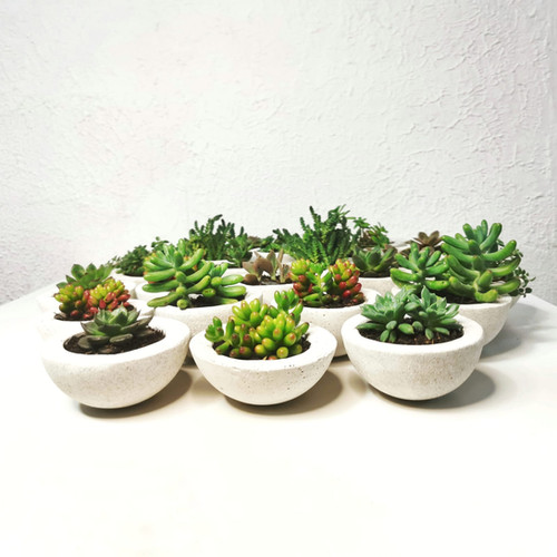 Minimalistas | Simoona.co