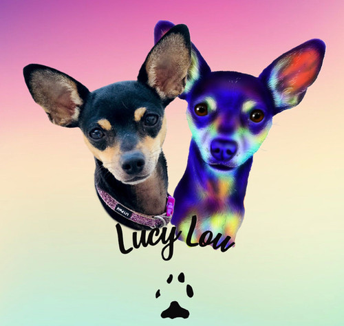 April 2020 - Lucy Lou | Misfit of the Month