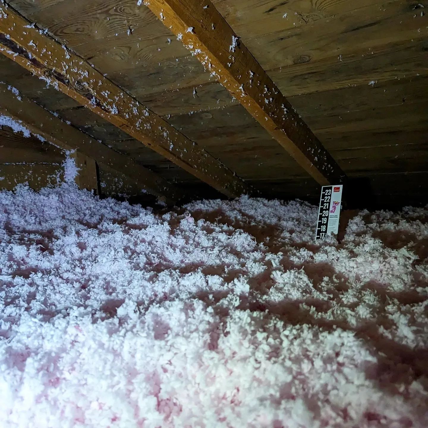 SERVICES | Southeast Atlantic