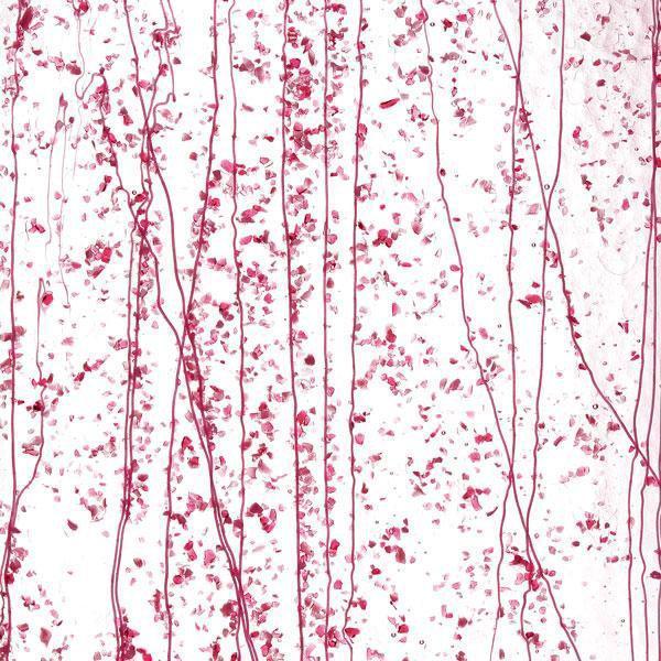 A Visual Guide To Glass: An (In)Complete List of Types of Stained Glass ...