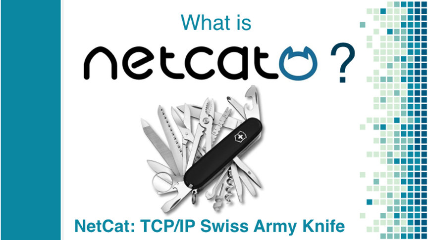 Netcat A Computer Networking Utility For Reading From And Writing To Network Connection