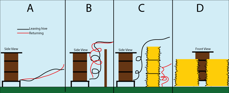 Bee Flight Paths | Great Lakes Bee Supply