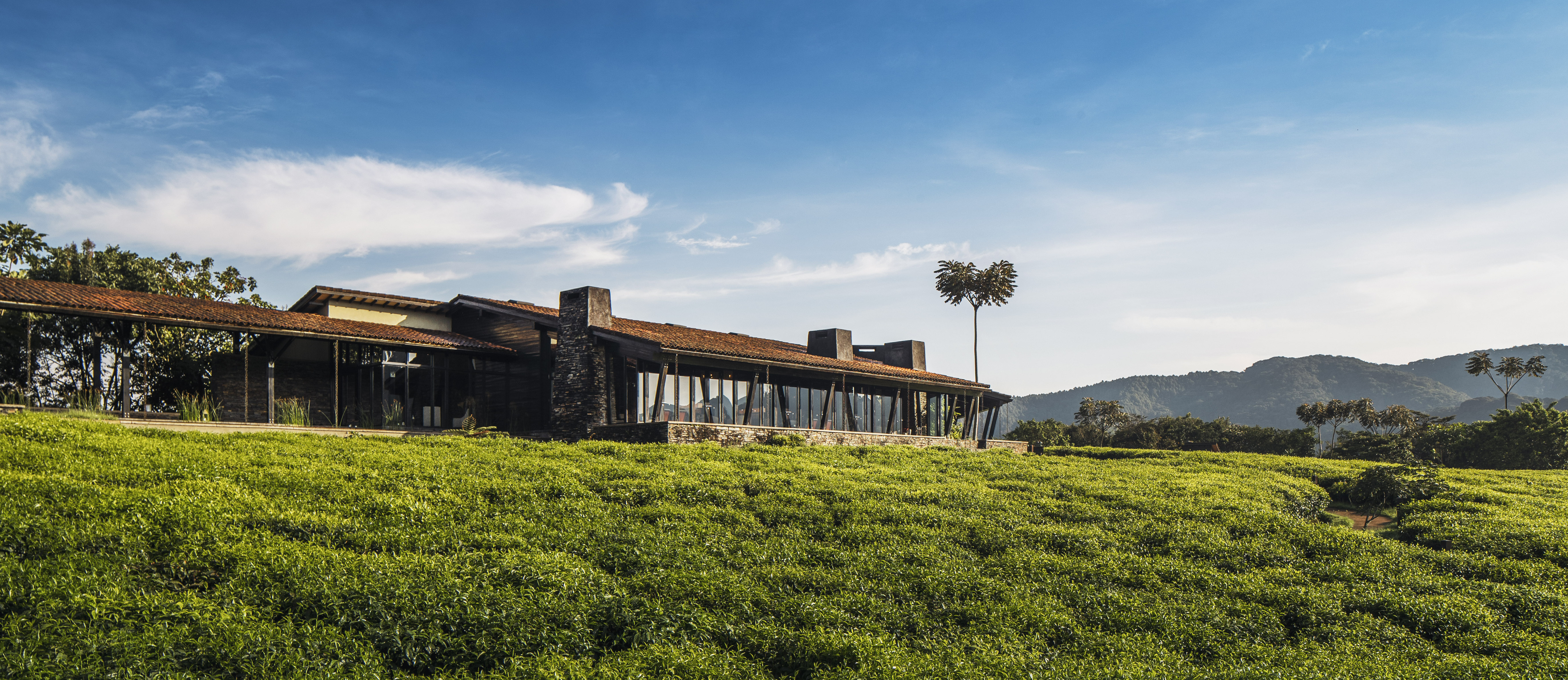 Highlights of Rwanda | Tailor-Made | Vita Brevis Travel