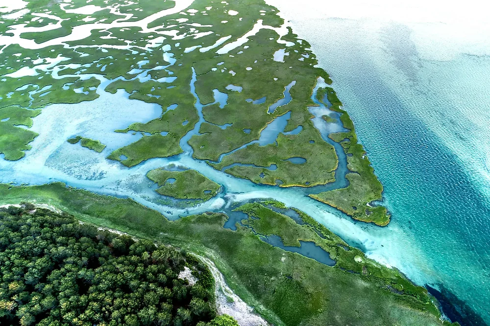 The First Open-Source Atlas of The World’s Ecosystems | OGN Daily