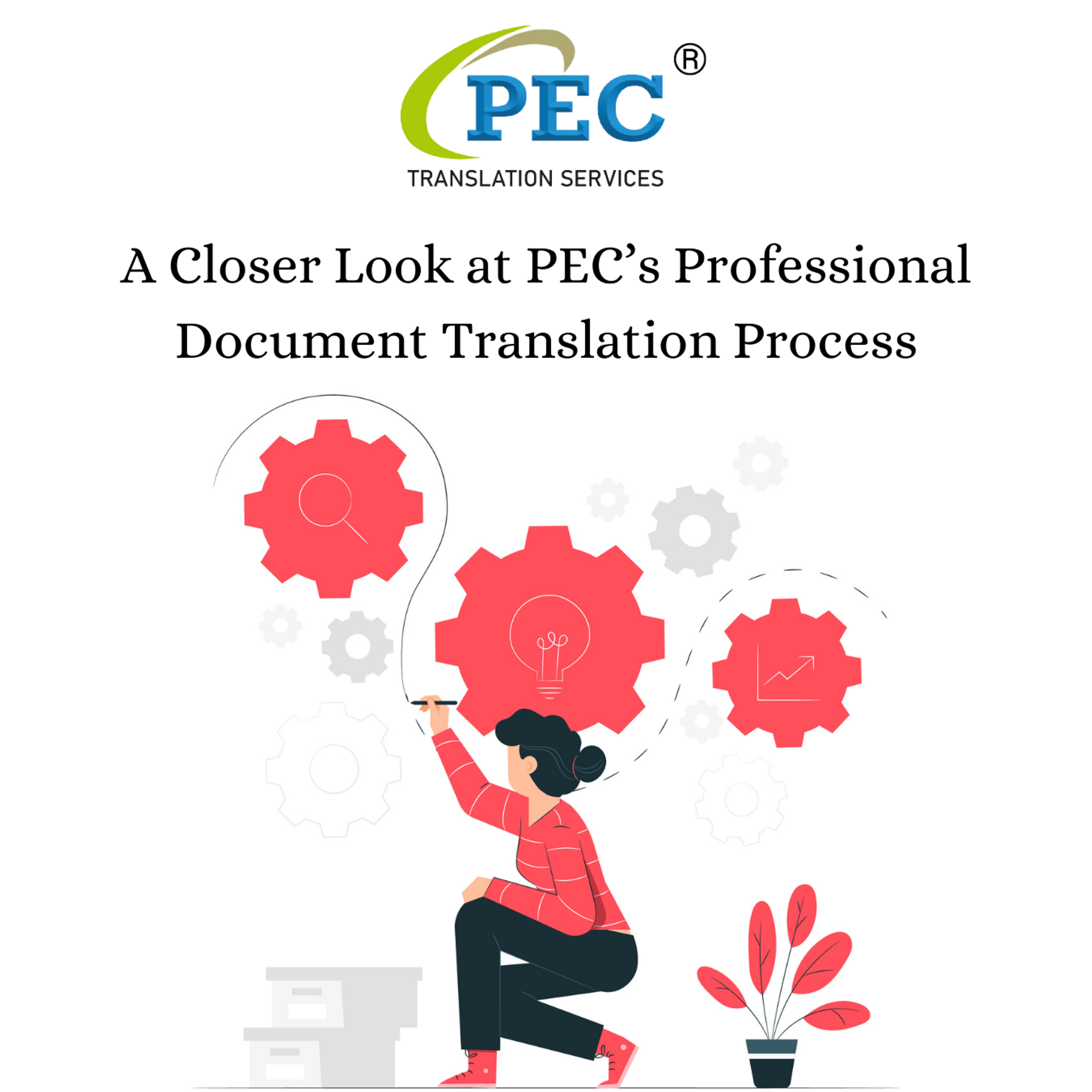 A Closer Look at PEC's Professional Document Translation Process