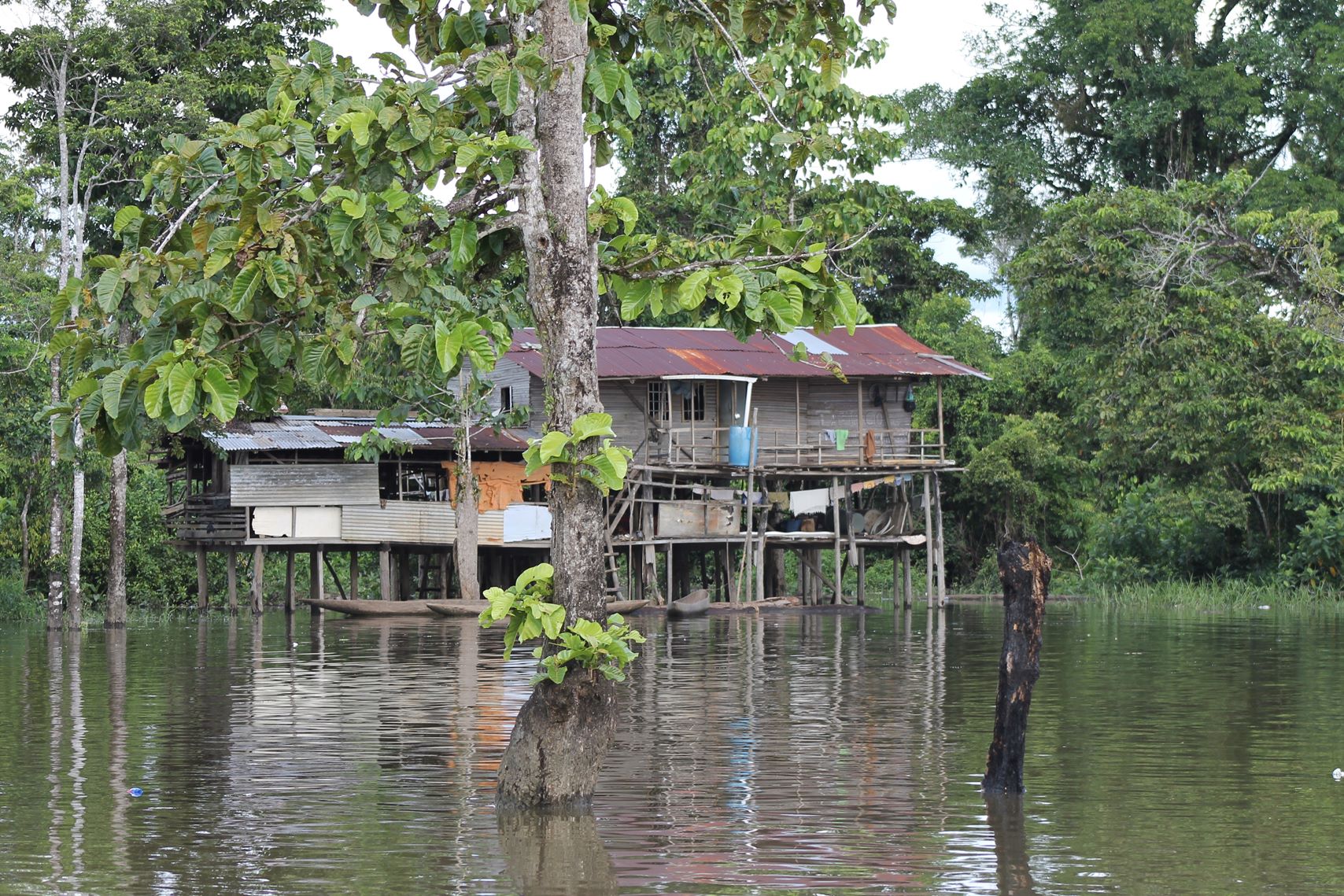 Lenity Australia | Supporting Kiunga
