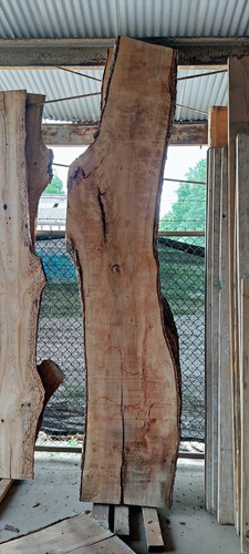 Dynamic Live Edge Pecan Wood Slab - 118" for Epoxy River Tables