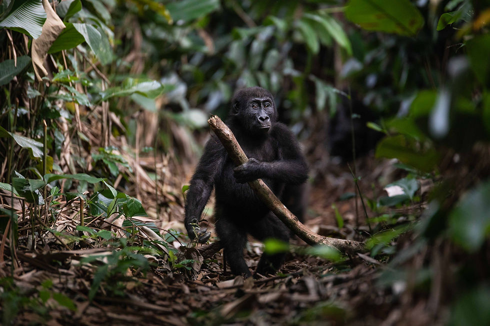 Travel & Documentary | Simon Watson Images