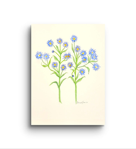 Blue Aster - Watercolor on Cotton Paper 9"x12" | Michael's Art House