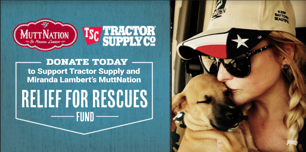 Miranda Lambert's MuttNation Launches The "Relief For Rescues Fund"