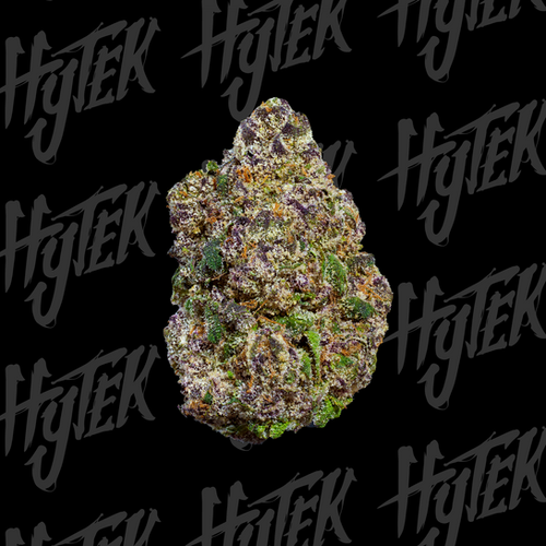 CANDY CARTEL DELI FLOWER | HYTEK
