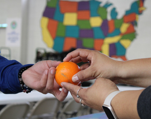 Warm Welcome: A Comprehensive Sanctuary | Border Servant Corps