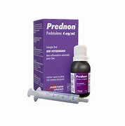 PREDNON SOLUÇÃO 30ML | NitrosalPets