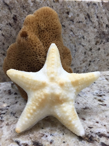Starfish Soap | The Grecian Soap Co.