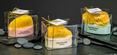 Goat's Milk Soap with Natural Sea Sponge | The Grecian Soap Co.