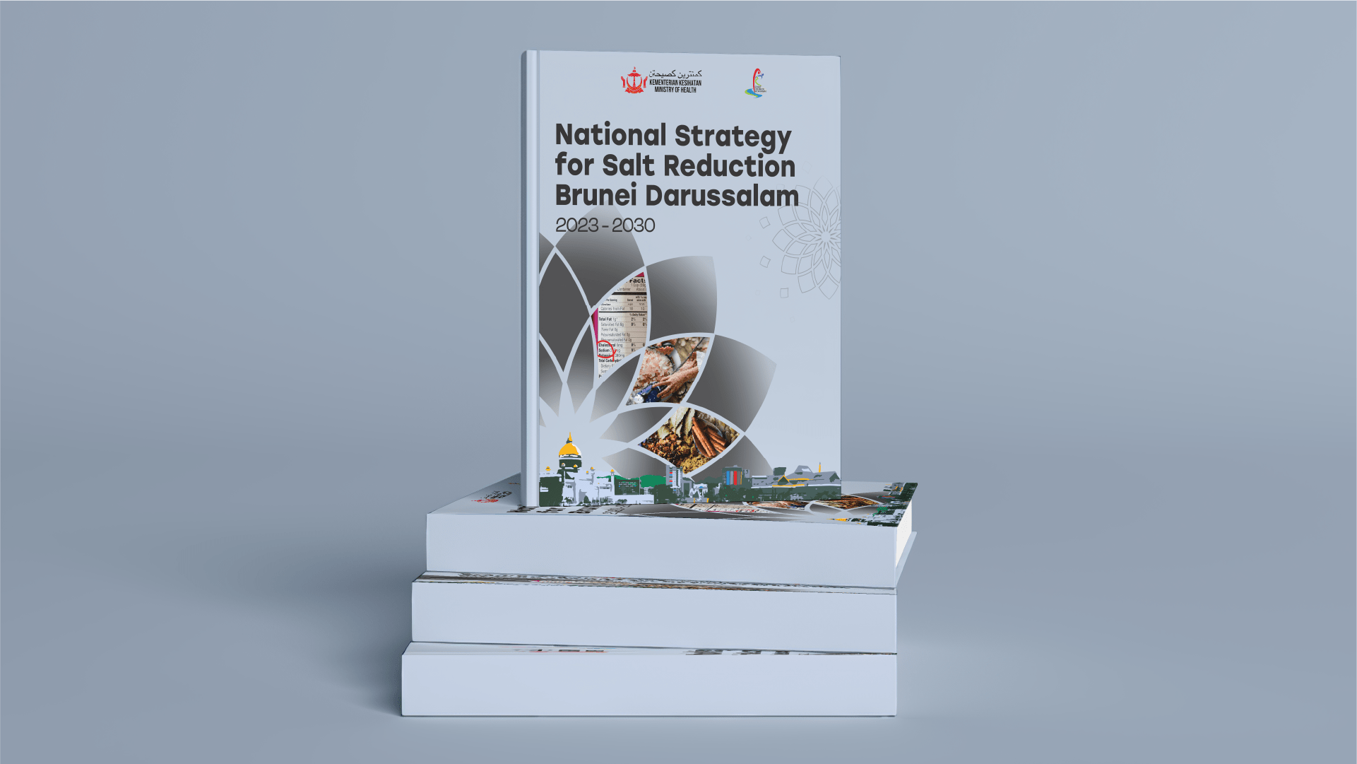 HPC - National Strategy for Salt Reduction Brunei Darussalam ...