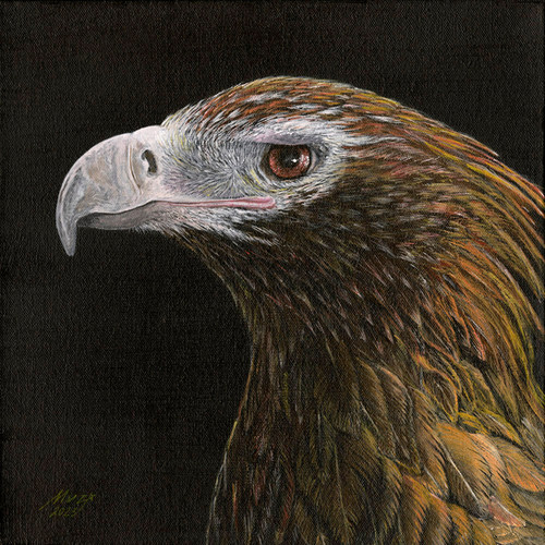 ACRYLIC PAINTING - Eagle Eye | MuzaDesigns