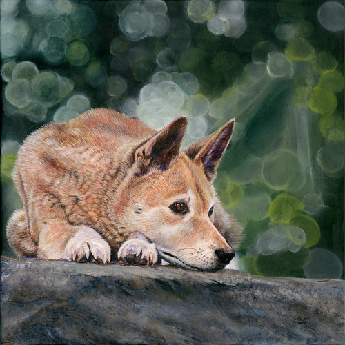 ACRYLIC PAINTING - Dingo Contemplating | MuzaDesigns