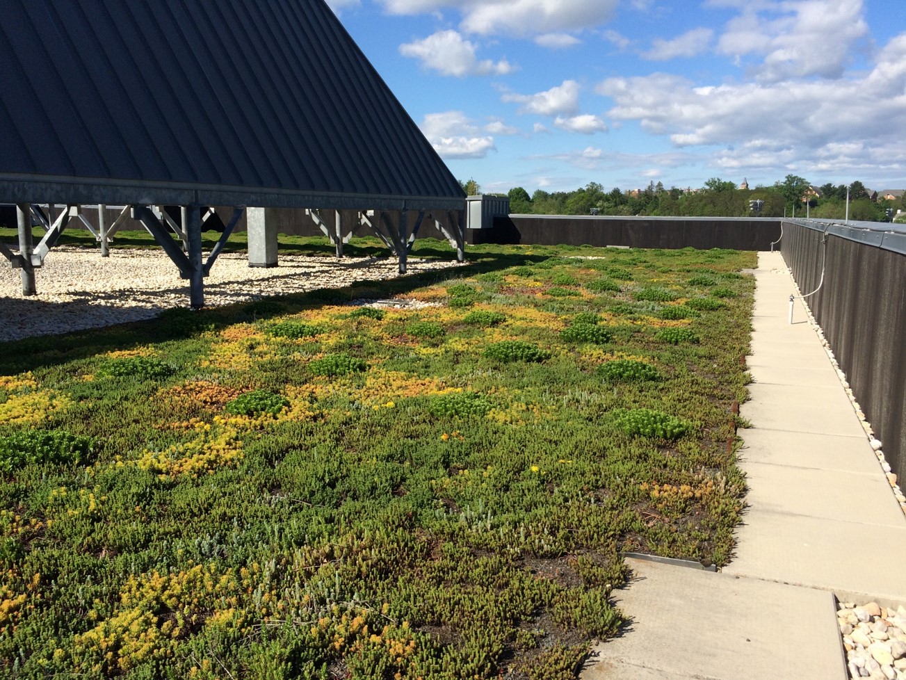 The Benefits of Green Roofs Part 2: Urban Heat Island Effect