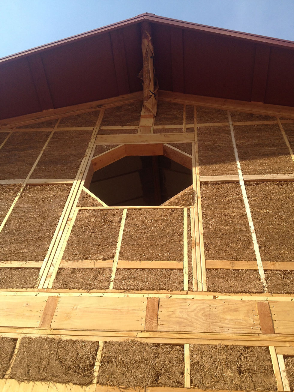 Light Straw-Clay (LSC): A Natural and Earthen Building Material