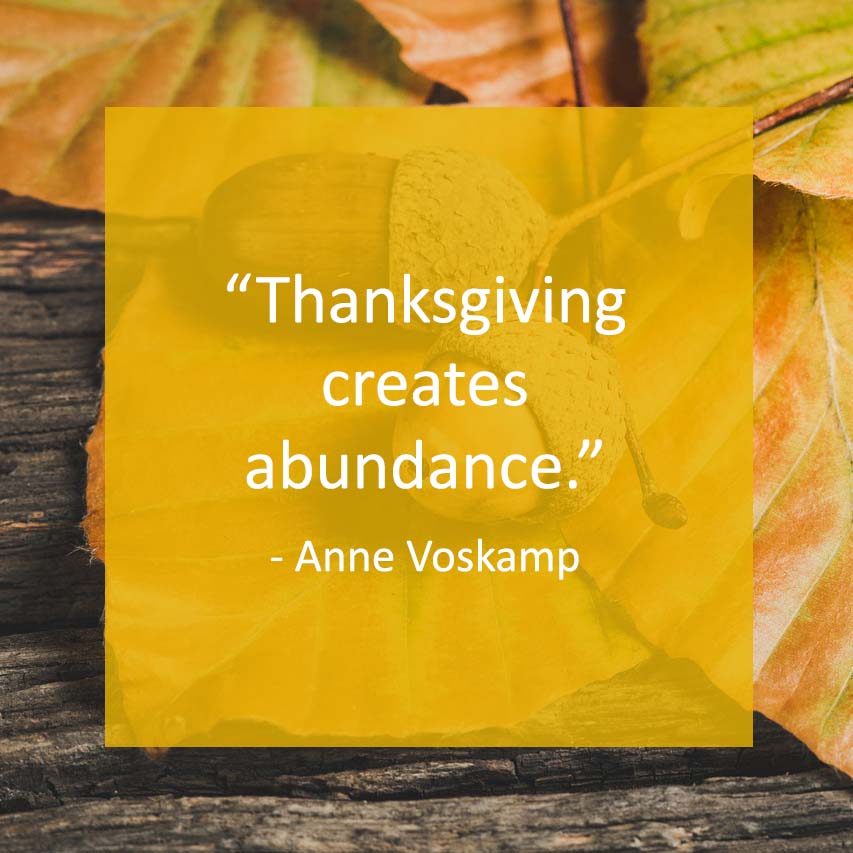 Our Favorite Thanksgiving Quotes