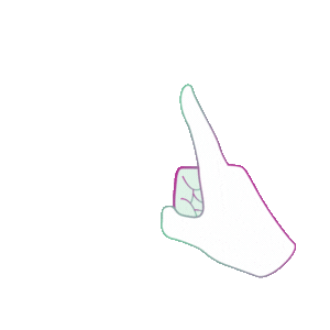 Splash | Backbone Studio Ltd