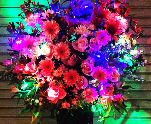 LED | Spira Flower