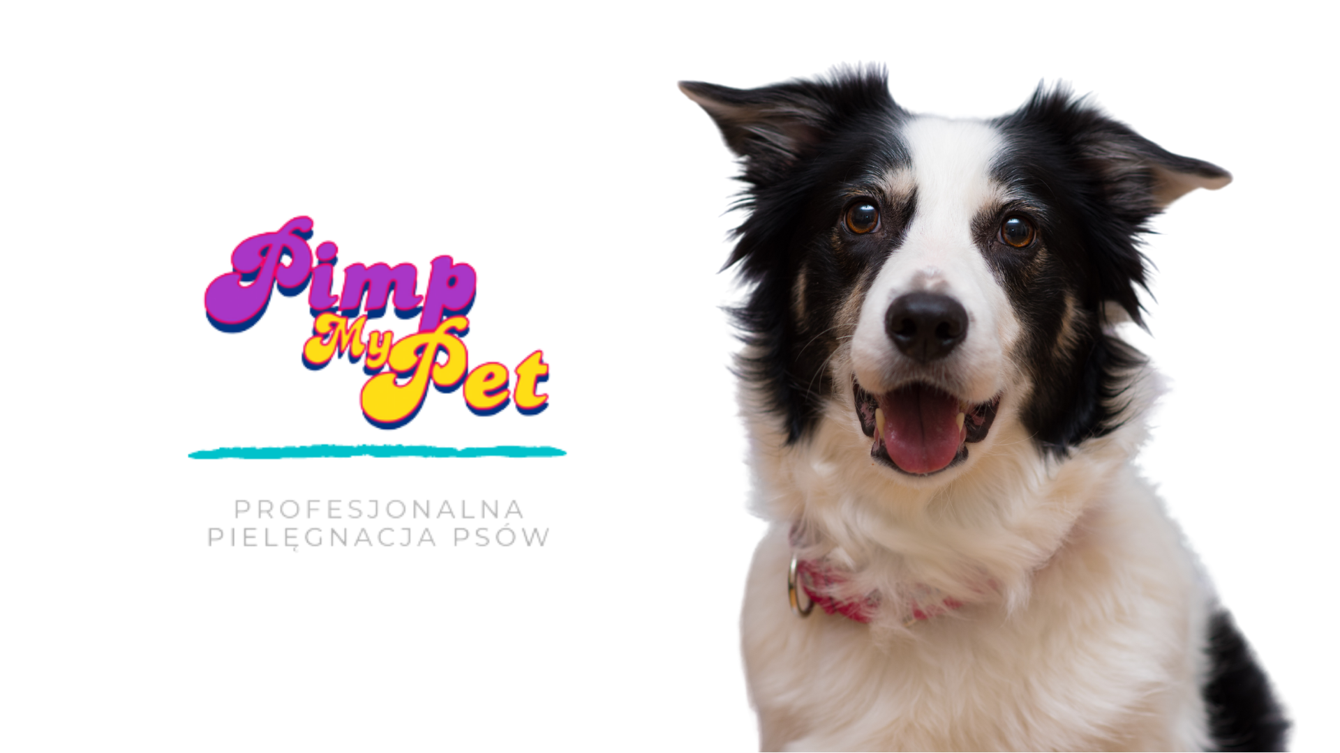 Salon | Pimp My Pet | strzyżenie i pielęgnacja psów