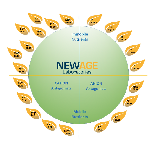 Plant Sap Analysis | Newage Laboratories