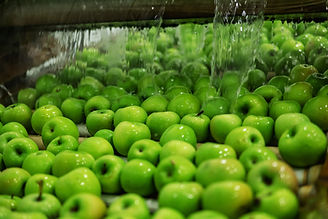 Food Safety | Newage Laboratories