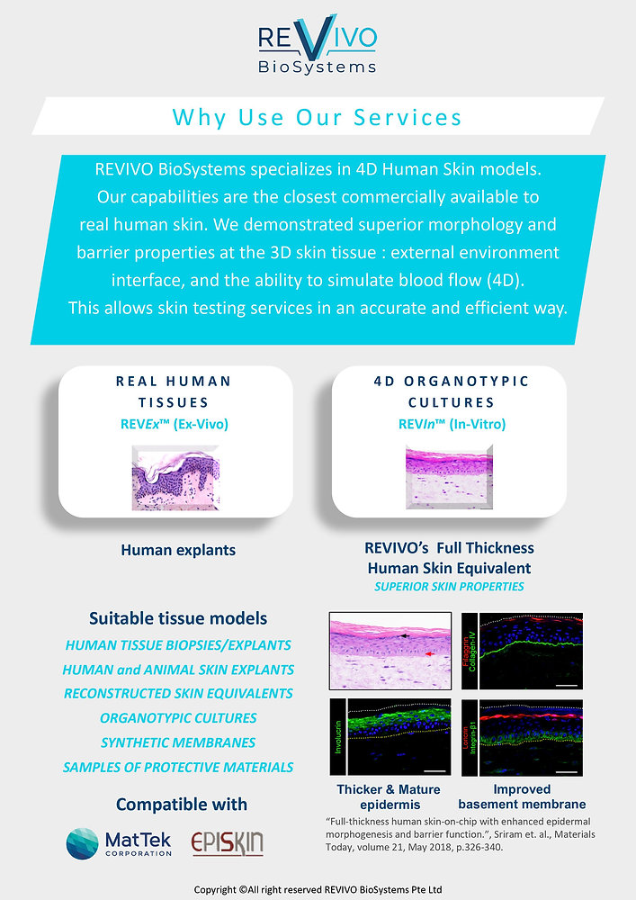 4D Human skin models are now available
