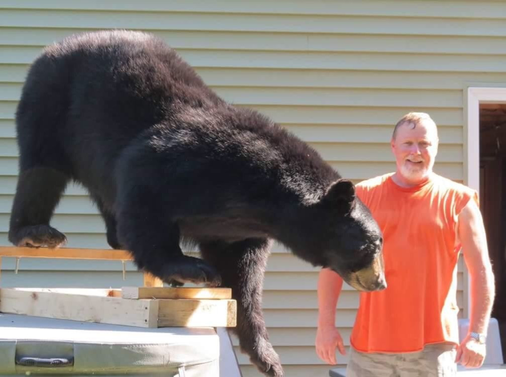 Pricing | AJ's Taxidermy