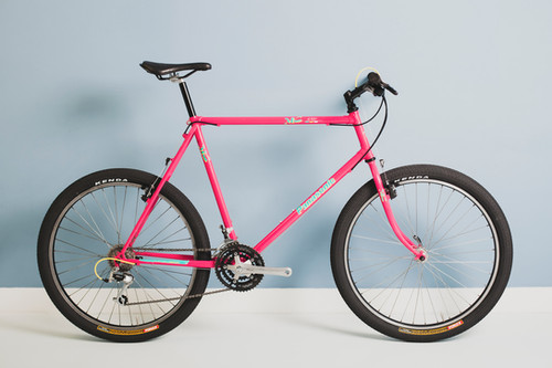 Panasonic MC 4500 | MTBMinded