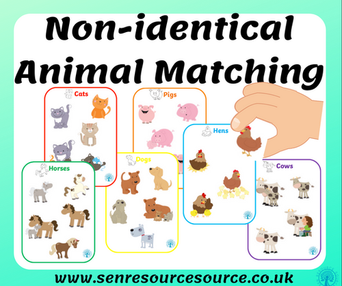 Non-Identical Animal Matching | SEN Resource Source