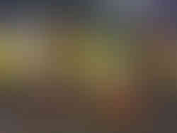 Zorbit Sports - Burlington | Home