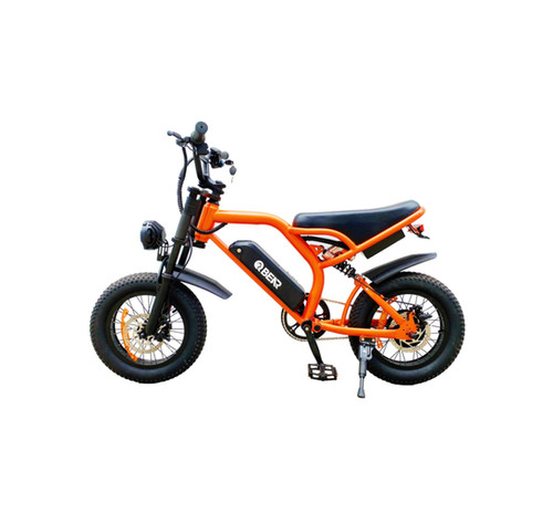K6: TEEN SIZE MOPED | QBEAR eBIKES