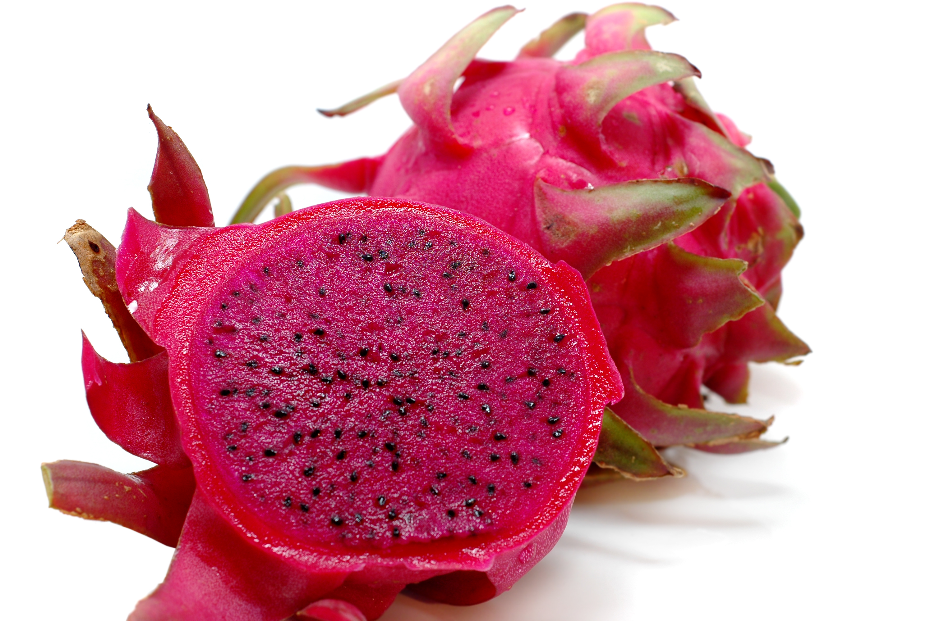 Gallery | ingredientrade